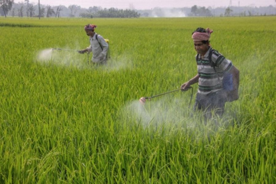 Government to Ban 27 Insecticides and Pesticides in India | News ...